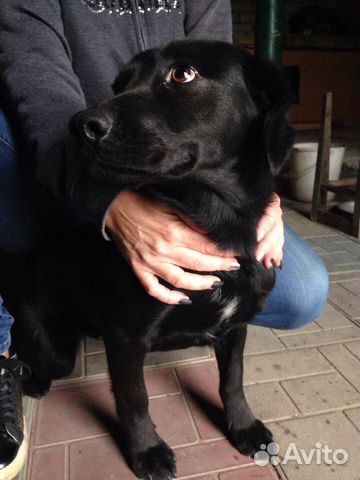 Черненькое чудо