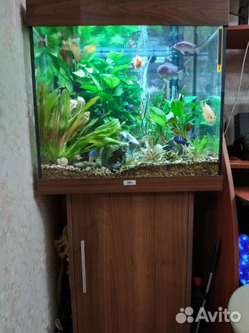 Продаю аквариум