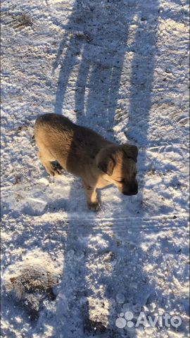 Очаровательный малыш Макс