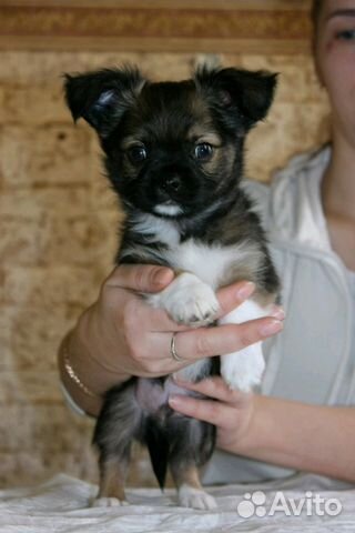 Шикарный мужчина