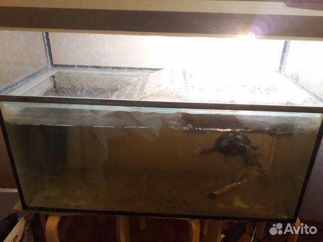 Черепахи и аквариум