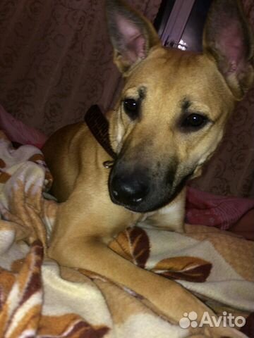 Красивая и умная