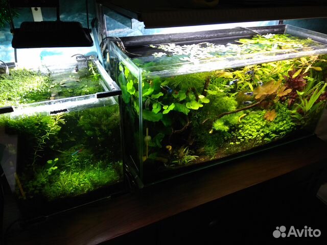 Большая прополка, наборы на ваш вкус