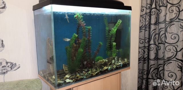 Продам аквариум