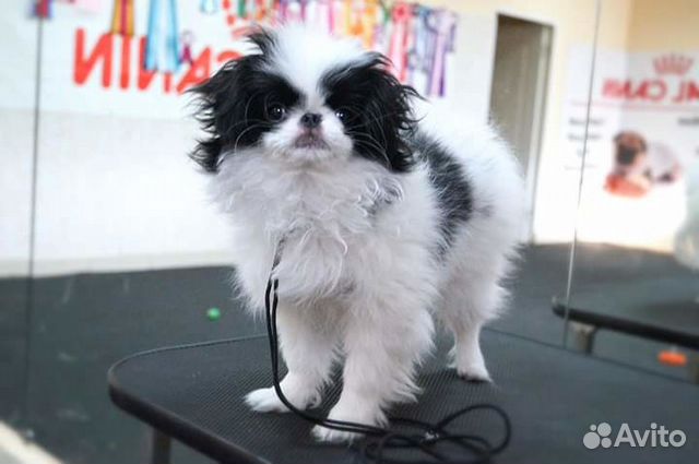 Кукольная крошка