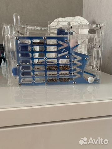 Формикарий