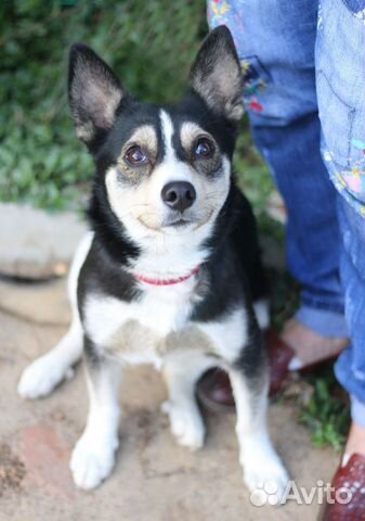 Малышка Маришка