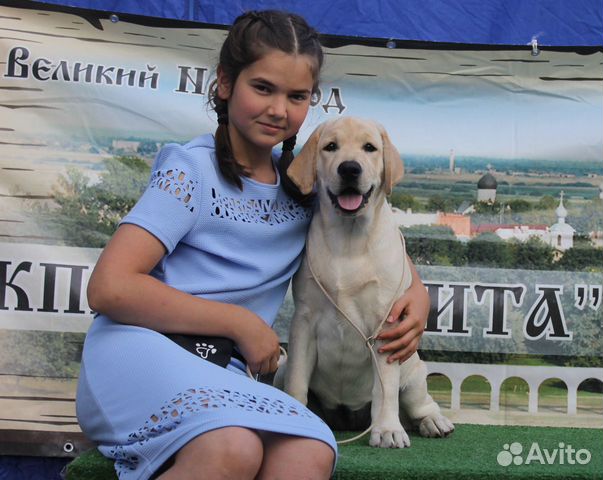 Палевая девочка