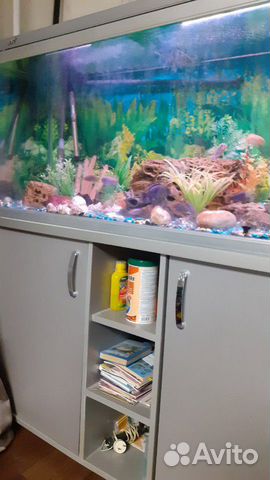 Аквариум
