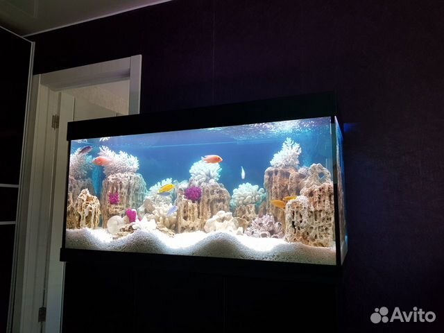 Аквариум