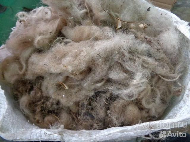 Шерсть овечья