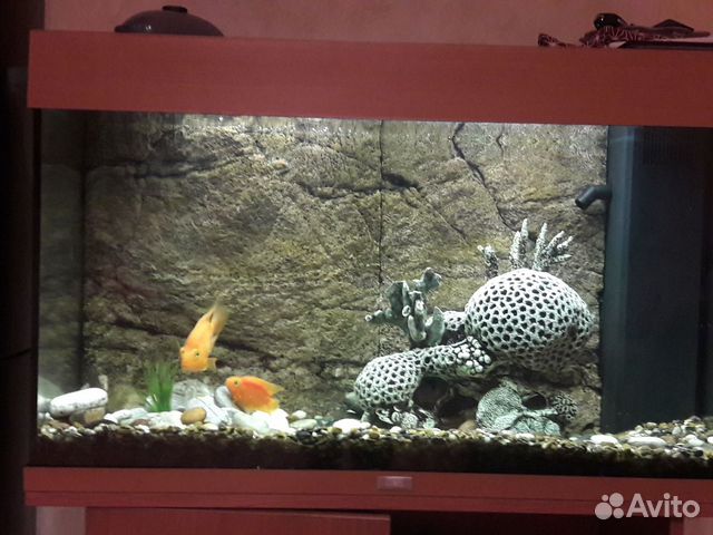 Juwel 125 Rio + тумба