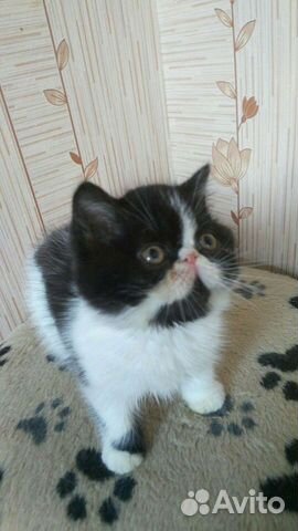 Экзотическая