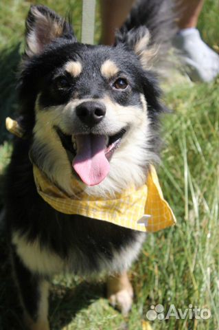 Спасите малыша от смерти в приюте