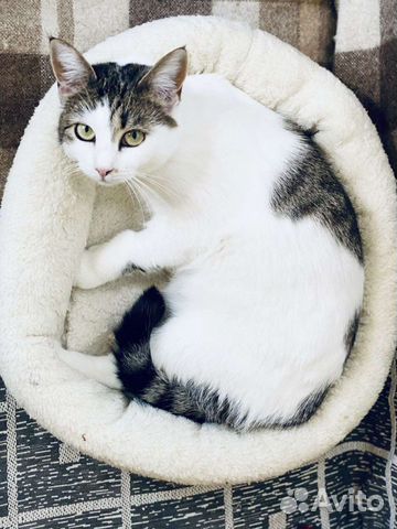 Космическая Мишель ждёт вас