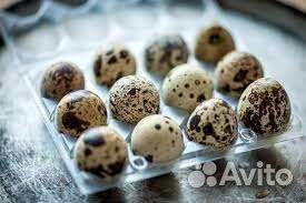 Перепелиные яйца техас
