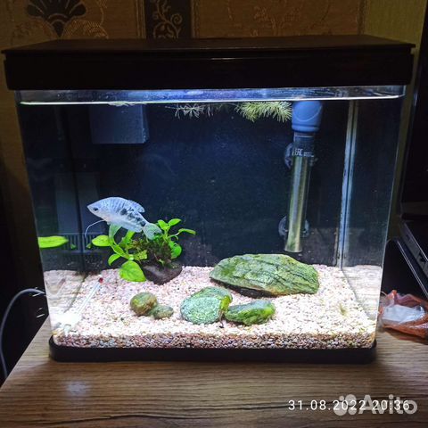 Аквариум Prime 15л комплект