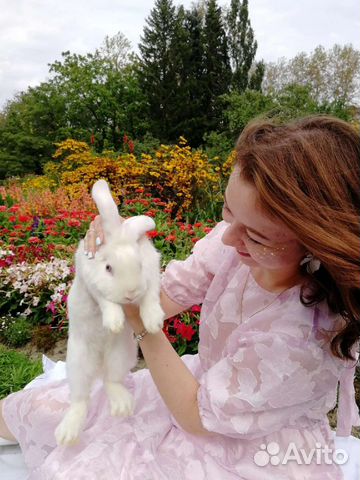 Декоративный кролик с клеткой