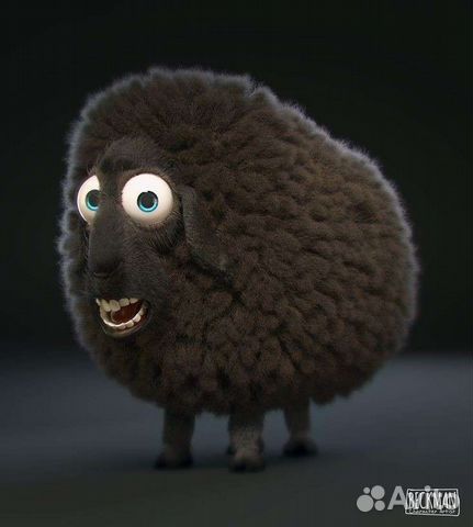 Баранина живым весом