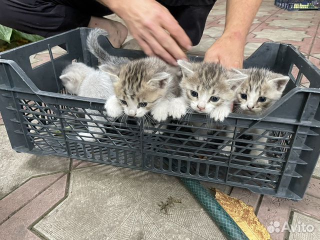 Первомайская 21