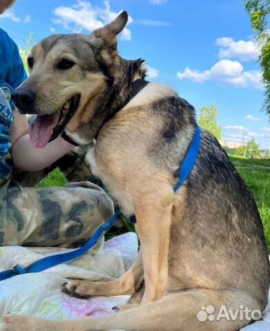 Спасите Гретту