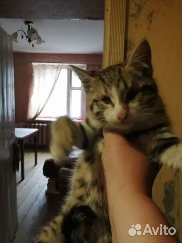 Есения - слепая малышка