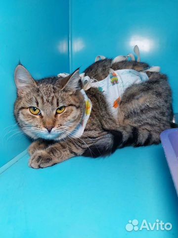 Ласковая, нежная Маруся снова на улицу