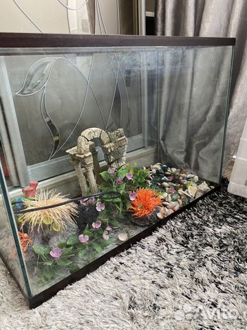 Акаариум и декором