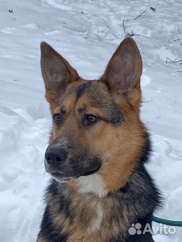 Фортуна в хорошие руки