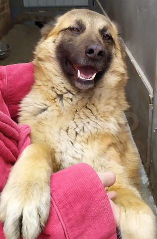 Фортуна в добрые руки