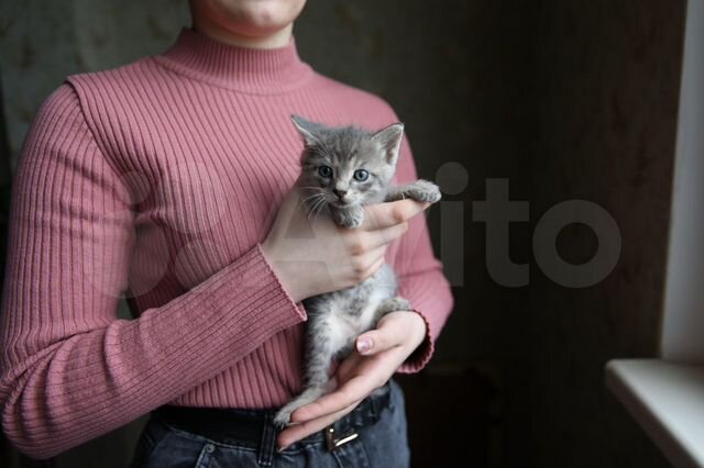 Маленький Нежный Смешной Ангелочек